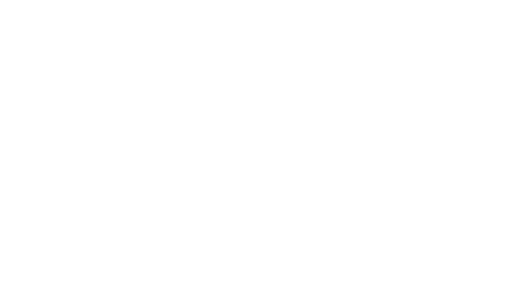 box chelero – Cervecería 55